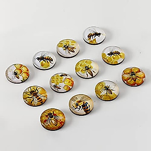 12Pcs Bumble Bees Refrigerator Magnets Crystal Glass Cute Honey Bee Magnet Gifts for Baby Shower Theme Decorations Dry Erase Whiteboard Fridge Office Kitchen Decor