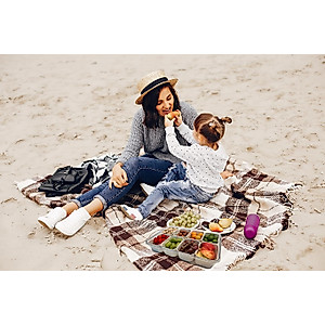 Kinnsto Snackle Box Container Meal Prep Divided Portion Serving Platters and Trays with Lid Handle Reusable Vacation Camping Travel Beach Essentials Food Fruit Veggie Organizers and Storage for Fridge