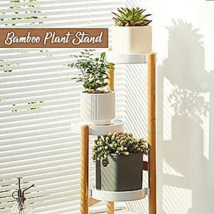 FILWH Plant Stand Indoor Outdoor Plant Rack 3 Tier 3 Potted Flower Holder Ladder Plant Stands Table Plant Pot Stand For Multiple For Balcony Window Living Room Garden Patio (3 Tier)
