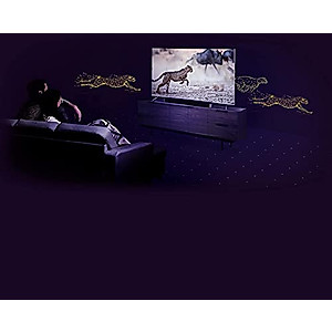 Vizio SB2020n-J6 Home Theater Sound Bar (Renewed)