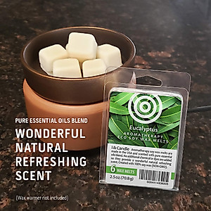I & Candle, (Set of 4) Eucalyptus / Hibiscus & Citrus / Rose & Lavender / Rosemary & Mint Aromatherapy Wax Melts. 100% Soy Wax Non-GMO. Made in the USA