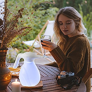 SHAELPII 0.5 Gallon Electric Spray Bottle Battery Plant Mister Automatic Sprayer Continuous Powered Pump Water Can Garden Weed Indoor/Outdoor Lawn Portable Adjustable Nozzle Clean Fertilizer (Green)