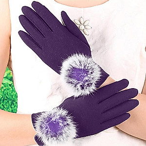 Warm Gloves for Cold Weather Full Finger Texting Gloves Winter Thermal Fleece Lined Mittens for Women (Purple, One Size)