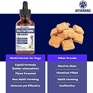 Multivitamin for Dogs | Dog Multivitamin | For Joint Support, Gut & Immune Health, Skin & Heart Health | Dog Vitamins and Supplements | Dog Vitamins Multivitamin | Dog Supplements & Vitamins | 1 fl oz