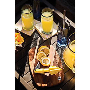 Outset Glass Straight Reusable Straws, 0.75 x 4 x 10 inches, Clear