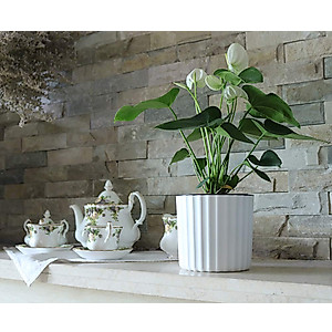 MUZHI Orchid Pot with Net and Holes, Round Self Watering Planter Pot for Indoor Plants and Flowers 3 Sets White