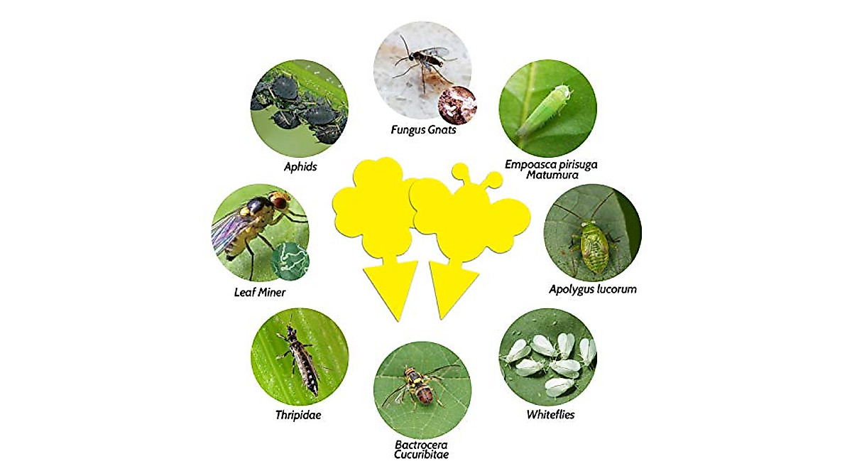 Kensizer 16pcs Yellow Sticky Traps for Effective Insect Control