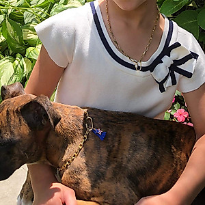 Turandoss 14K Gold Plated Shiny CZ Oval Screw Clasp Link Chain Simple Choker Paperclip Link Necklaces for Women