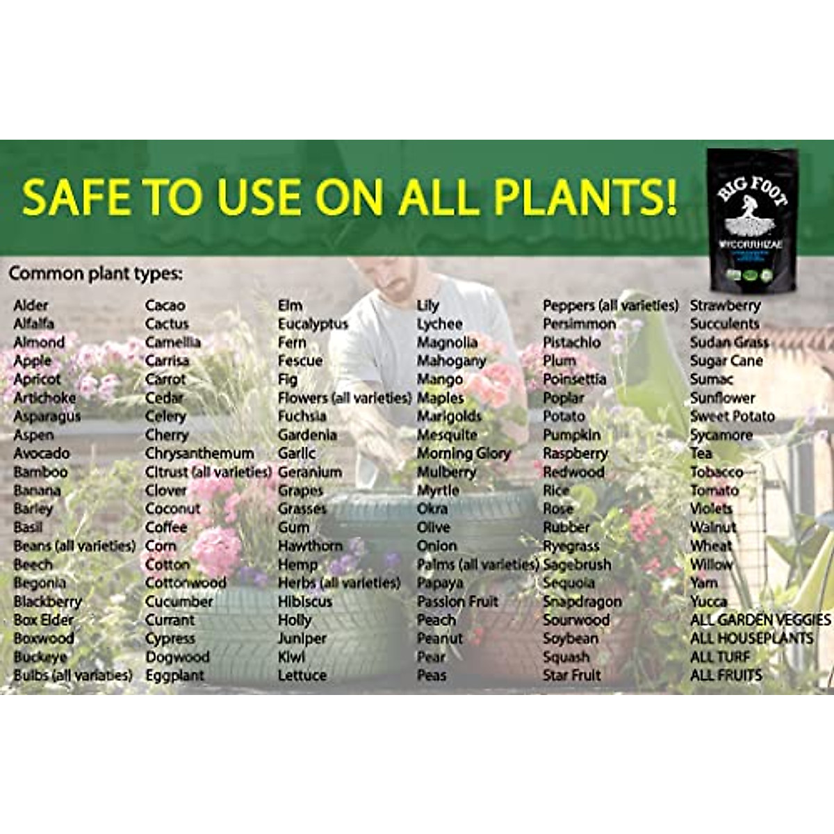 Big Foot Water-in Brew - Soil Drench and Organic Fertilizer | Mycorrhizae + Worm Castings + Kelp + Azomite,+ Biochar + Humic Acid - (4 oz)