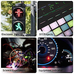 DiCUNO 100Pcs (10 Colors × 10Pcs) 5MM Pre Wired 12V LED Diodes, 9.4 Inch/24CM Ultra Bright Light Emitting Diodes Assorted Color Kit Box for Circuit Science Experiment, DIY Lighting Projects