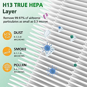isinlive True HEPA Replacement Fil-ter Compatible with Okaysou AirMax 8L Air Puri-fier, 3-in-1 H13 True HEPA Fil-tration System