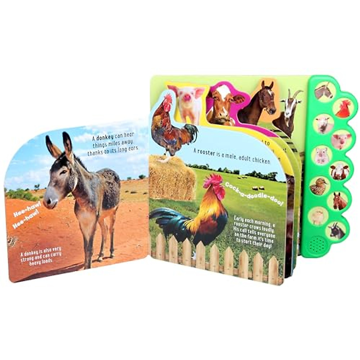 Discovery: Moo on the Farm! (10-Button Sound Books)
