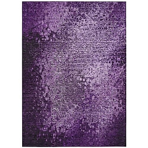 Addison Rugs Chantille ACN565 Purple 5' x 7'6 Indoor Outdoor Area Rug, Stain Resistant, Machine Washable, Non Shedding, Bedroom, Living Room, Dining Room, Kitchen Rug