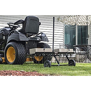 Agri-Fab 40-Inch Tine Tow Dethatcher 45-0294,Black