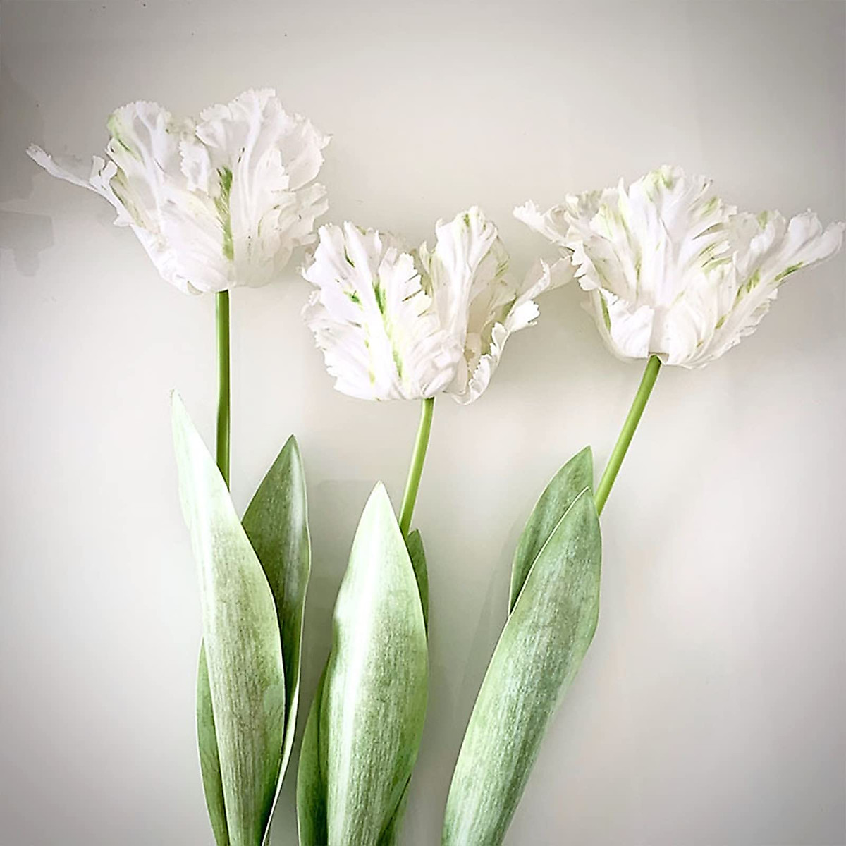 MISNODE 3PCS Artificial Parrot Tulip Flower Stems, White 27 Inch Parrot Tulip Bouquet, Single Head Silk Tulips Flower Branches for Wedding Bridal Bouquet Party Home Garden Decor
