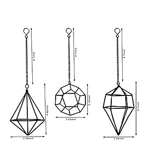 libproqia Small Air Plants Hanging Holders Wire Airplants Planter Hanger Black Geometric Metal Himmeli 6pcs Tillandsia Air Fern Display Holders for Hanging Air Plants