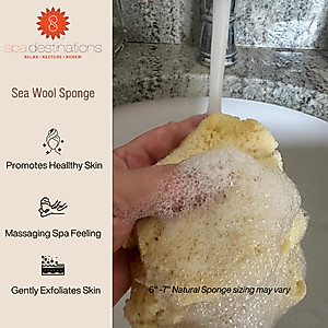 Natural Sea Wool Sponge 4-5" by Spa Destinations ® Amazing Natural Renewable Resource Creating The in Perfect Bath and Shower Experience