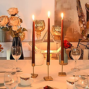 Zest Candle 12-Piece Taper Candles, 12-Inch, Brown