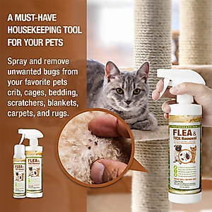 EcoVenger Flea & Tick Removal Spray 16oz for Dogs and Cats, Protects from Fleas, Mites, Ticks & Mosquitoes, eliminates+ Repels+ Housekeeping, Indoors/Outdoors, Plant-Based Formula Safe for Pets & Kids