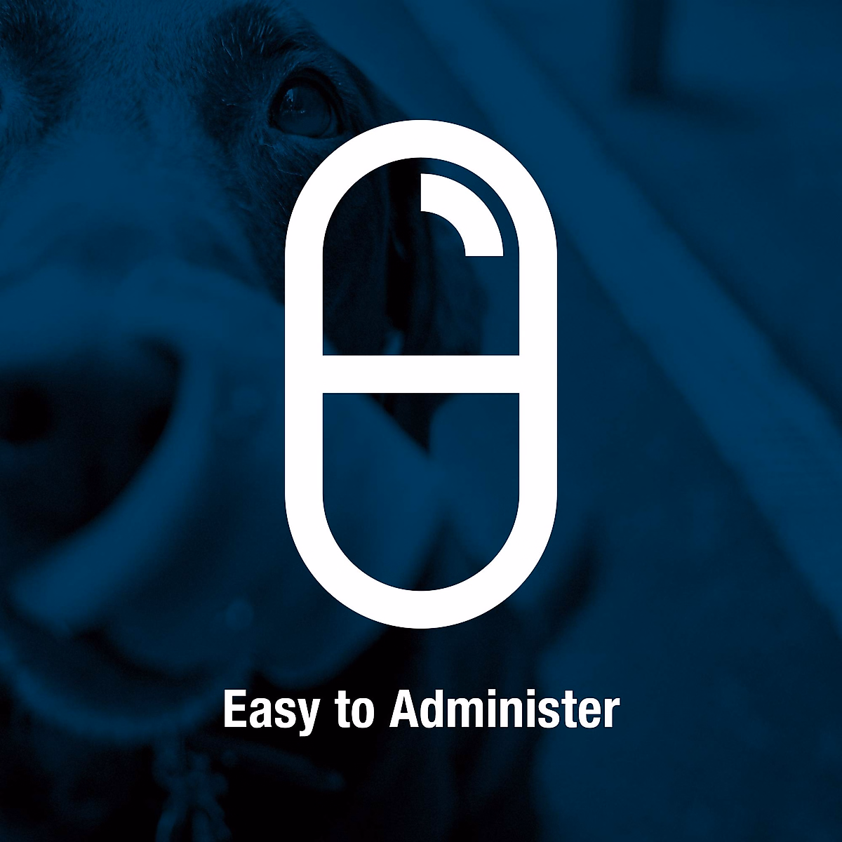 VetOne O3 Omega Soft Gel for Large Dogs - Essential Fatty Acid Support - Skin & Coat Supplement - 250 Capsules