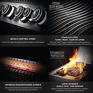 Napoleon Propane Gas Grill