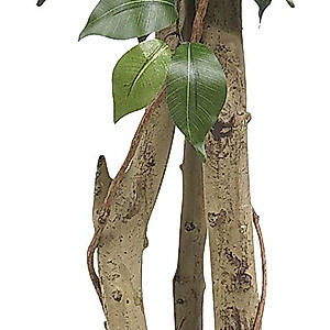 Nearly Natural 5299 Ficus Silk Tree, 4-Feet(48 in), Green