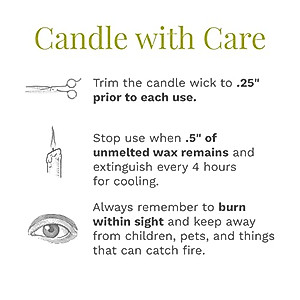Candle-lite Premium Bamboo Santal Scent, 14 oz. 3-Wick Aromatherapy Candle with up to 45 Hours of Burn Time, Green