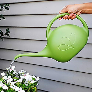Novelty 30601 Indoor Watering Can, 1/2 Gallon, Green