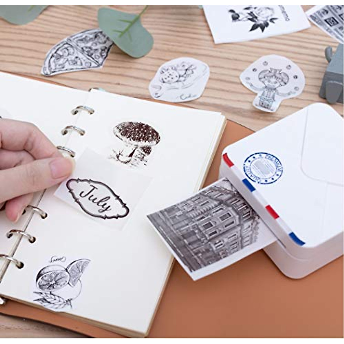 Phomemo Adhesive Thermal Sticker Paper,White/Transparent/Semi-Transparent Thermal Printer,for Phomemo M02/M02 Pro/M02S/M03/M03AS/M04S Bluetooth Thermal Pocket Printer, 50mm-53mm Width,2.5m-3.5m Length