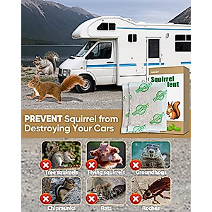 SEEKBIT Squirrel Repellent, Squirrel Deterrent Peppermint Oil to Repels Squirre Mouse Rodent, Natural Squirrel Deterrent Yard Garage, 10 Pack