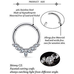 Vsnnsns 16G Septum Rings Piercing Jewelry Septum Jewelry CZ Clicker Ring Stainless Steel Septum Hinged Segment Nose Rings Hoop Piercing Jewelry for Men Women 10mm 4pcs Silver