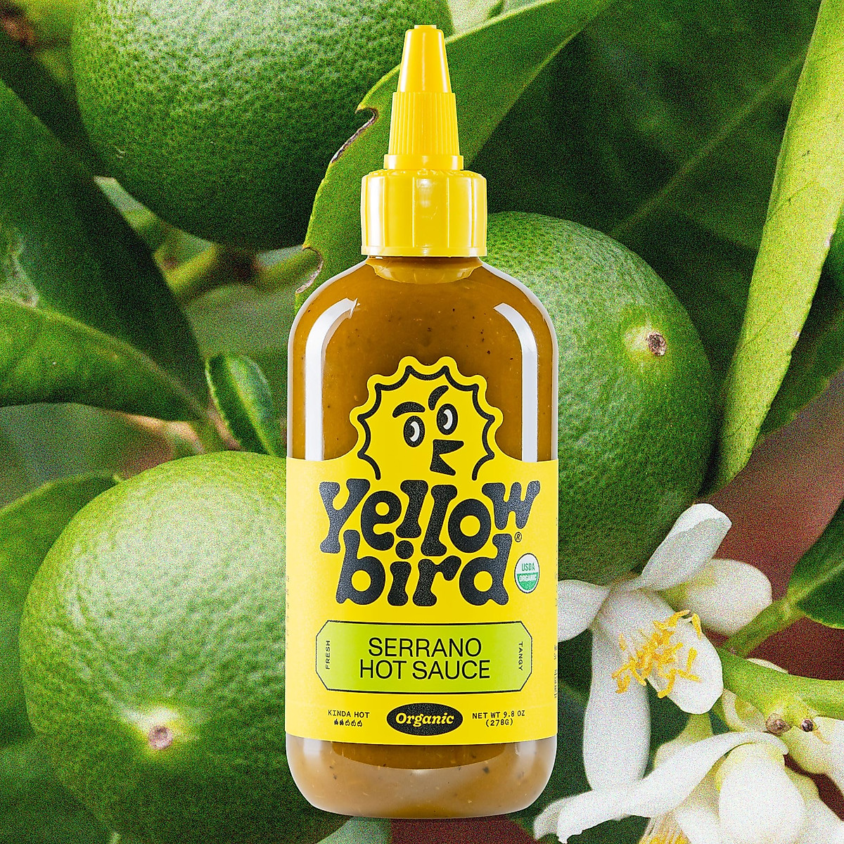 Organic Serrano Hot Sauce by Yellowbird - Organic Hot Pepper Sauce with Serrano Peppers, Cucumbers, and Lime - Plant-Based, Gluten Free, Non-GMO - Homegrown in Austin - 9.8 oz