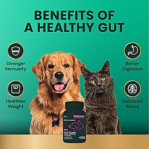 VetriScience Vetri Mega Probiotics for Dogs & Cats, 7.5 Billion CFU â€“ 8-Strain Cat & Dog Probiotics for Digestive Health, Gut Health, Immune Support & Seasonal Allergies â€“ 180 Capsules