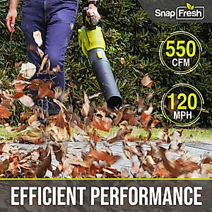 SnapFresh Cordless Leaf Blower - 550CFM Electric Leaf Blower Cordless with 4.0 Ah Battery and Fast Charger - 20V Lightweight Leaf Blower for Yard and Garden, Battery Operated Blower for Lawn Care