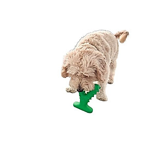 SINCREX USA Dog Toothbrush Dental Chew Cactus Toy - Teeth Cleaning, Teething Aid - Soft, Flexible, and Durable Rubber Toy for Medium and Small Breeds