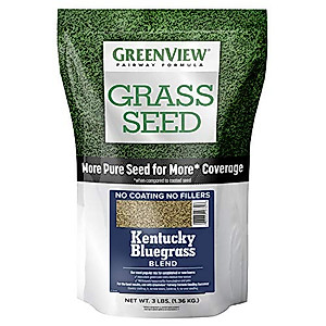 GreenView Fairway Formula Grass Seed Kentucky Bluegrass Blend - 3 lb. Bag
