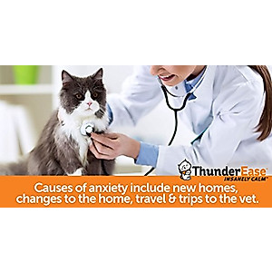 ThunderEase Cat Calming Pheromone Diffuser Refill | Powered by FELIWAY | Reduce Scratching, Urine Spraying, Marking, and Anxiety (60 Day Supply)