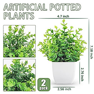 ZJIA 2 Packs Small Fake Plants Artificial Greenery Plants in Pots for Home Bedroom Bathroom Farmhouse Kitchen Decor Indoor
