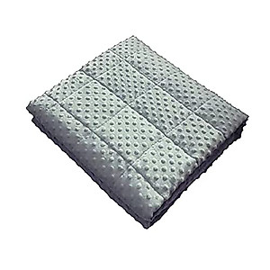 Weighted Blanket for Adult 15lbs Minky Dot Breathable Soft Throw Blanket for All Season,Heavy Blanket with Premium Glass Beads