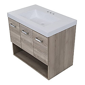 Spring Mill Cabinets Inna Floating Bathroom Vanity with 2-Door Cabinet, Drawer, Open Shelf, and White Sink Top, 30.5" W x 18.75" D x 26.27" H, Forest Elm