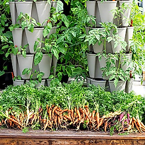 Greenstalk Patented Large 5 Tier Vertical Garden Planter with Patented Internal Watering System Great for Growing a Variety of Strawberries, Vegetables, Herbs, & Flowers (Stunning Stone)