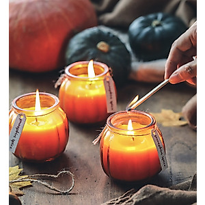 Fall Pumpkin Shaped Candle, Thanksgiving Pumpkin Spice Scented Candle Fall Decoration Farmhouse Candle Gift Set 3 x 5oz