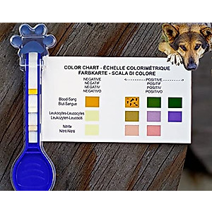 PawCheck UTI Test Kit for Dogs with Reusable P-Scoop Telescopic Urine Collector