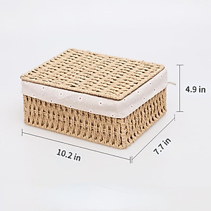 Rattanzenith Wicker Basket with Lid Paper Rope Storage Baskets for Shelves Large Storage Bin with Removable Liner Nesting Decorative Woven Basket for Makeup Closet Organizer (Large, Khaki)