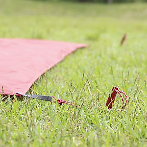 MSR Cyclone 10" Tent Stake, 4 Pack, Red