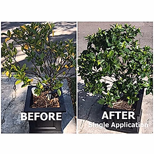 20-20-20 Plant Fertilizer by GS Plant Foods- All Purpose Water Soluble Plant Food with Kelp & Micronutrients (3 Pounds) - Suitable for All Plants, Turf, Indoor & Outdoor Plants