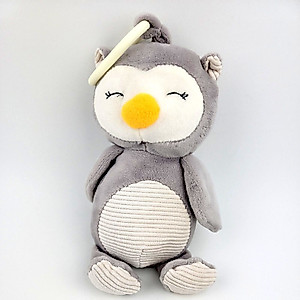 A Little Hoot New Baby Gift Basket - Baby Gift