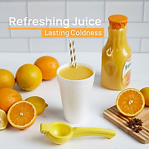 20 Oz Disposable Foam Cups (50 Pack), White Foam Cup Insulates Hot & Cold Beverages, Made in the USA, To-Go Cups - for Coffee, Tea, Hot Cocoa, Soup, Broth, Smoothie, Soda, Juice