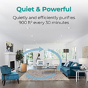 Alen FIT50 HEPA Air Purifier - Medical Grade Filtration H13 True HEPA for 900 SqFt - 99.9% Airborne Particle Removal- Allergens, Dust, Mold, Germs - Oak