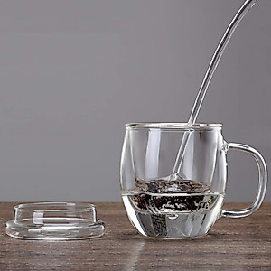 CHNTEA Tea Mug Glass Beautiful Cup with Infuser and Lid for Steeping,12 Ounces Transparent Snare Drum Mug